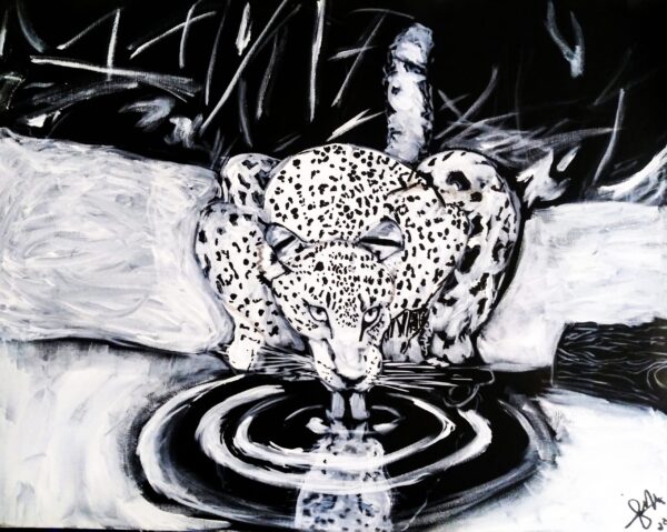 black and white wildlife 4 pack digital versions photo’d hd captured ...