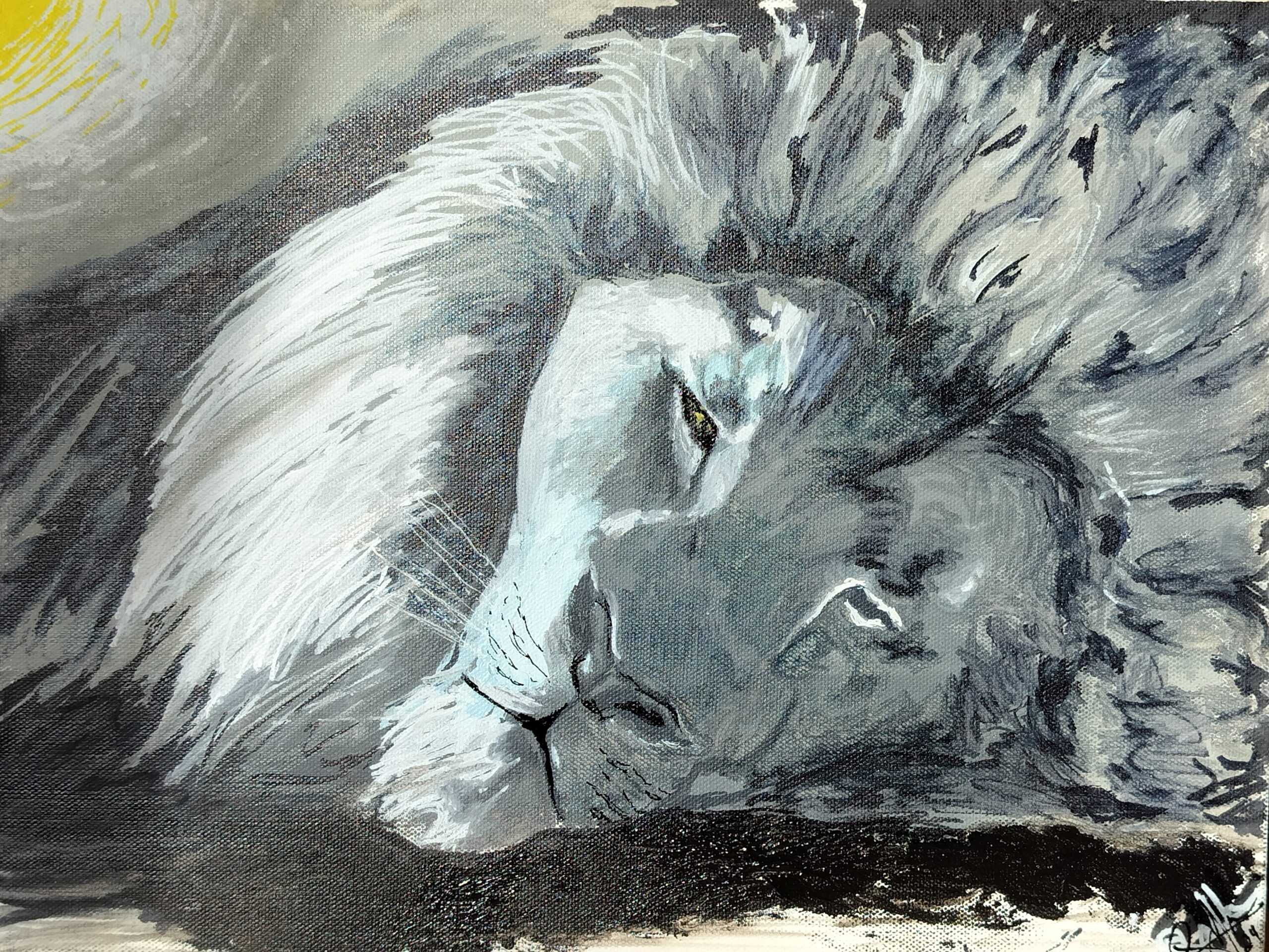 black and white wildlife 4 pack digital versions photo’d hd captured ...